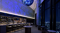 BELLUSTAR TOKYO, A Pan Pacific Hotel - Tokyo Hotels - Tokyo, Japan ...