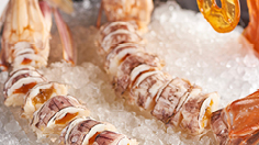 Canton Table - Shanghai Restaurants - Shanghai, China - Forbes Travel Guide