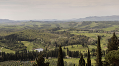 Castelfalfi - Tuscany Hotels - Florence, Italy - Forbes Travel Guide