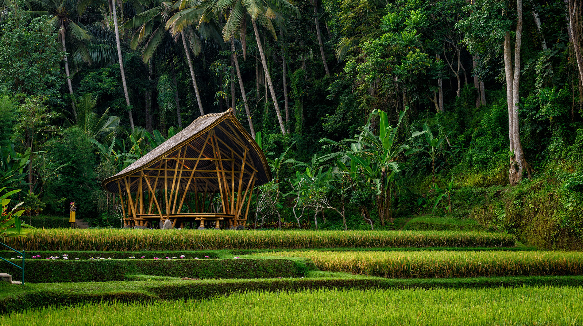 Four Seasons Resort Bali at Sayan - Bali Hotels - Bali, Indonesia ...
