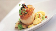 The Immigrant Restaurant at The American Club - Kohler Restaurants ...