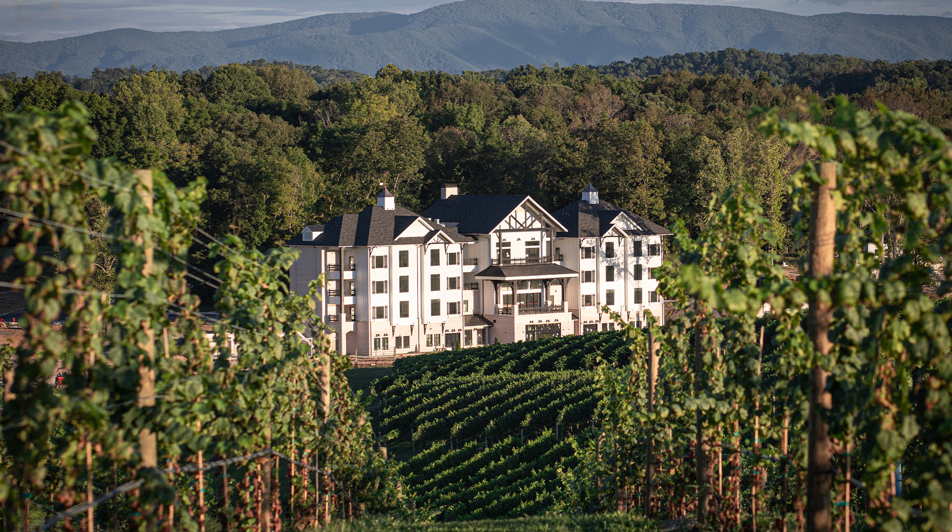 Nicewonder Farm & Vineyards - Southern Virginia Hotels - Bristol ...