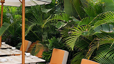 Palm Heights - Cayman Islands Hotels - Grand Cayman, Cayman Islands ...