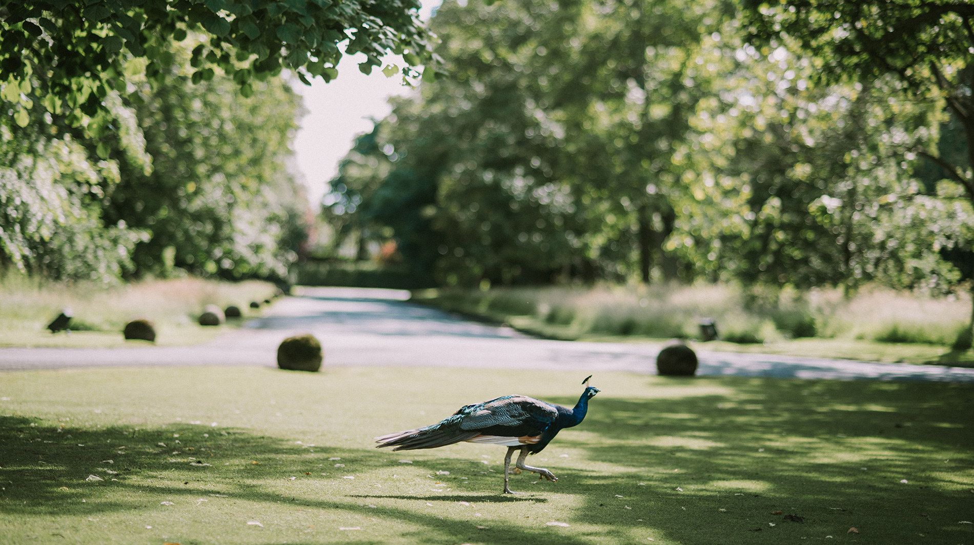 Prestonfield House Edinburgh - Scotland Hotels - Edinburgh, United ...