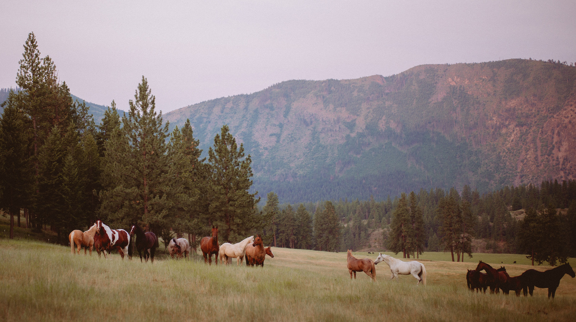 RiverView Ranch - Southwestern Montana Hotels - Alberton, United States ...