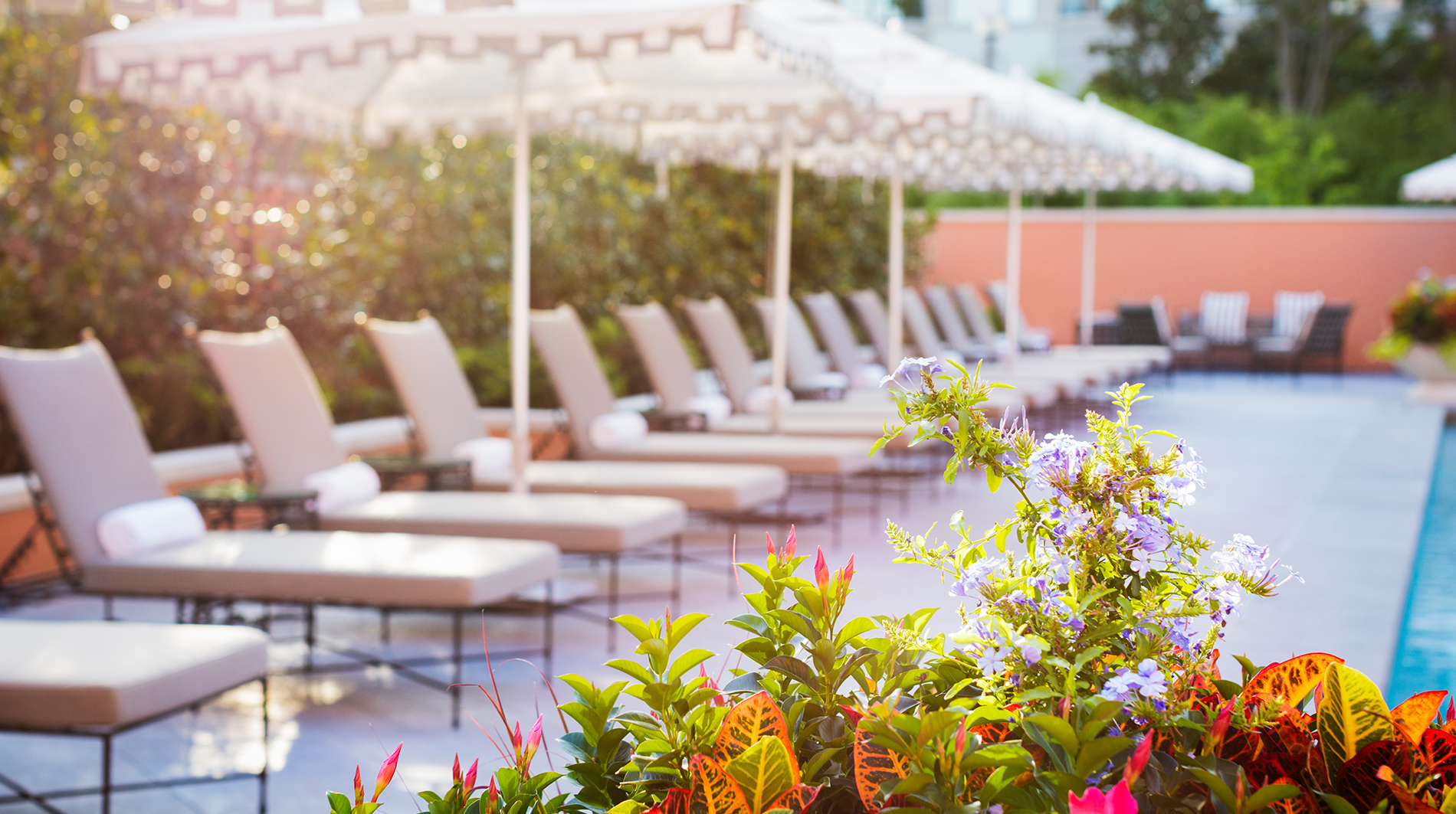 Rosewood Mansion on Turtle Creek - Dallas Hotels - Dallas, United ...