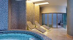 Salamander Spa - Northern Virginia Spas - Middleburg, United States ...
