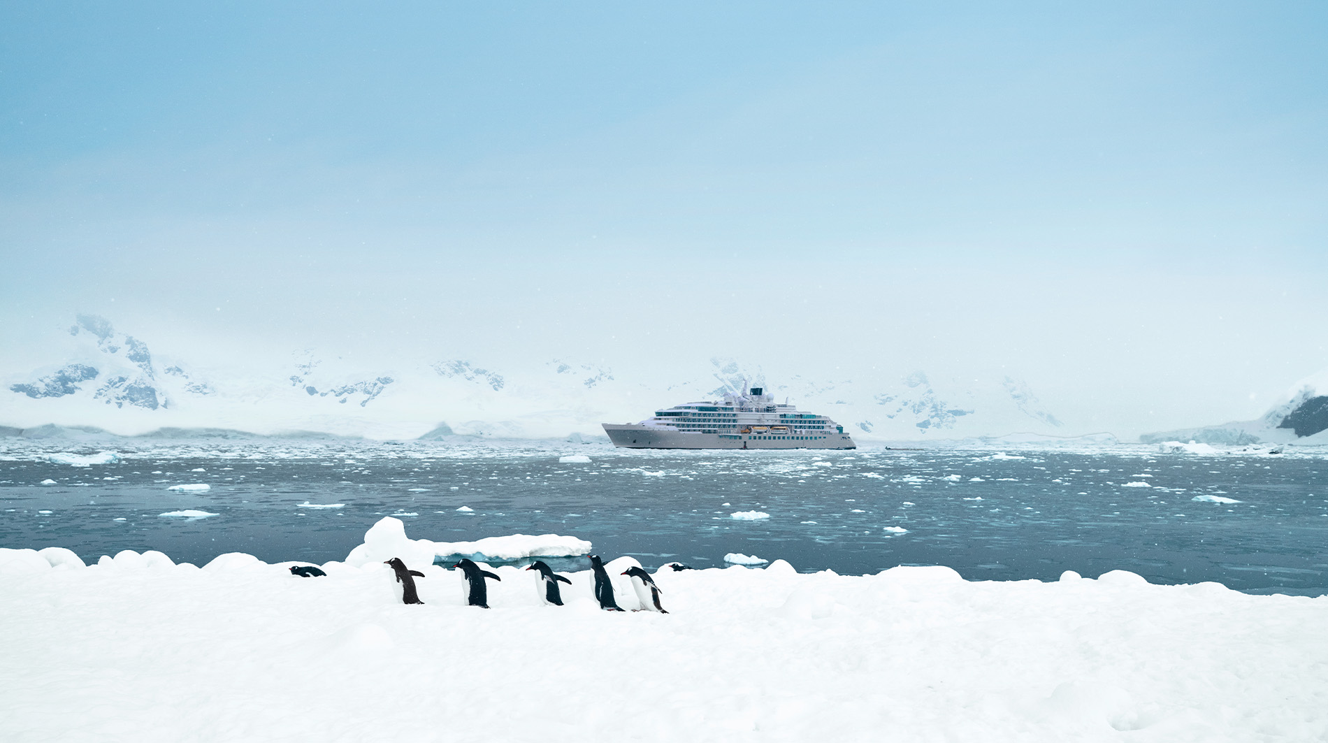 Silver Endeavour - Ocean Cruises - Forbes Travel Guide