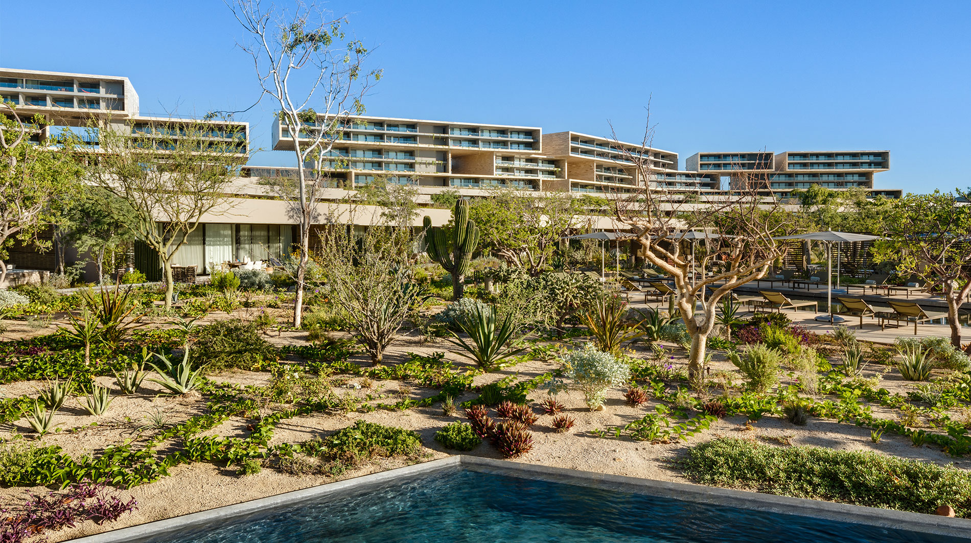 Solaz, A Luxury Collection Resort, Los Cabos - Los Cabos Hotels - San ...