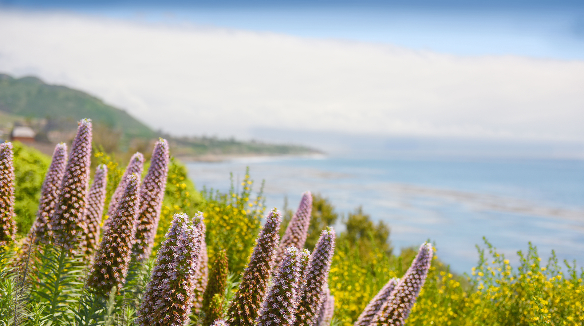 The Cliffs Hotel and Spa - Monterey, Carmel and Big Sur Hotels - Pismo ...