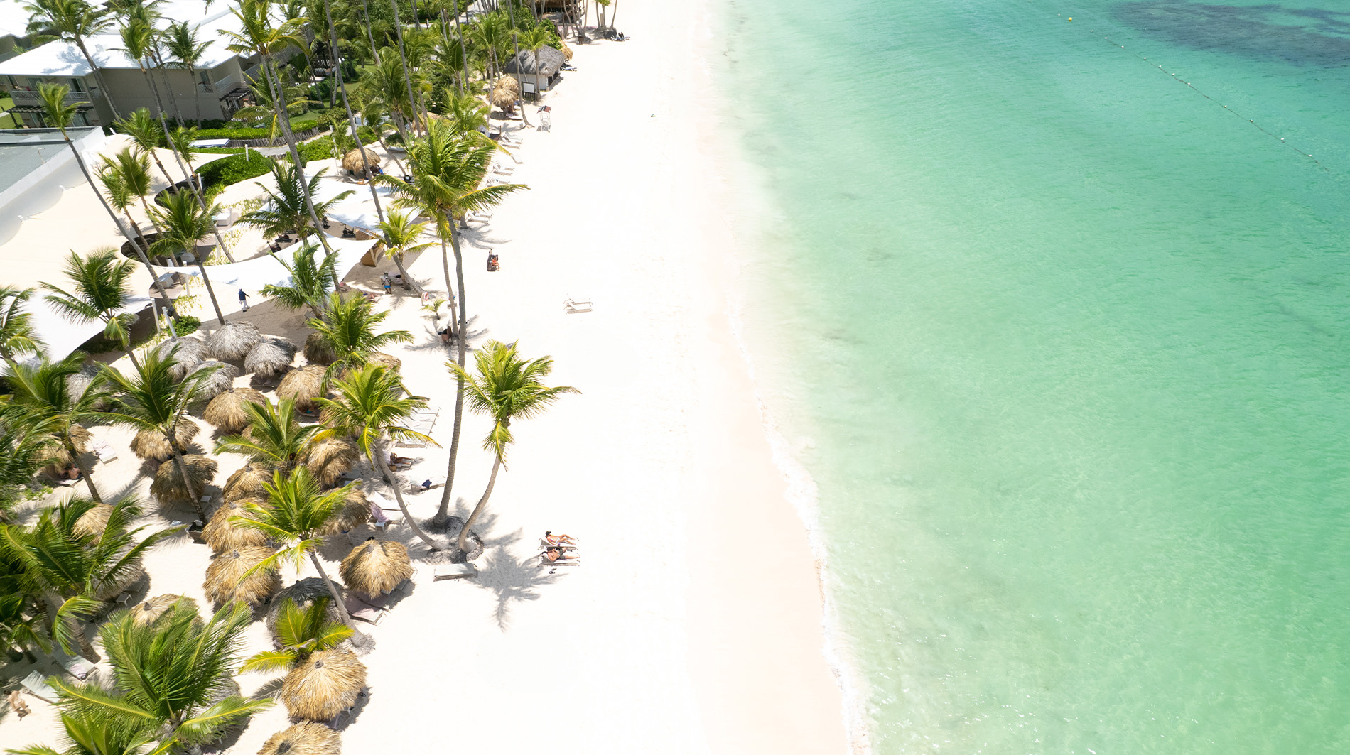 TRS Turquesa Hotel - Dominican Republic Hotels - Punta Cana, Dominican ...