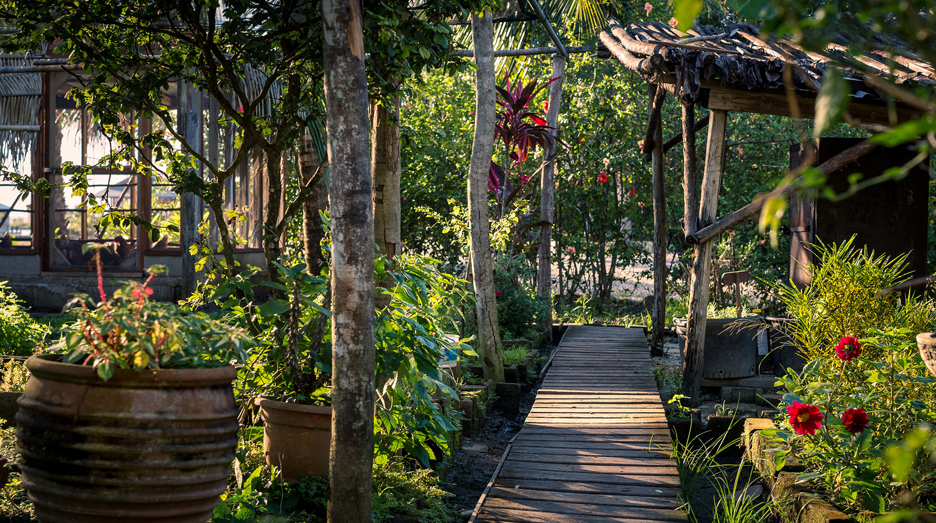 Turtle Inn - Belize Hotels - Placencia, Belize - Forbes Travel Guide